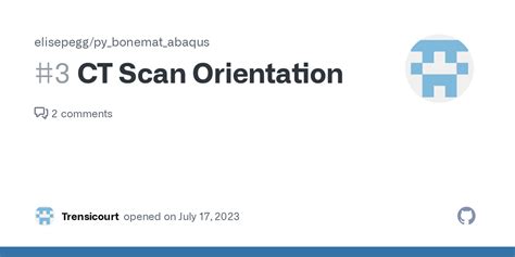 CT Scan Orientation Issue 3 Elisepegg Py Bonemat Abaqus GitHub