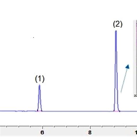 Electropherogram Of Standard Mixture Of Is Peak 1 30 μg Ml And
