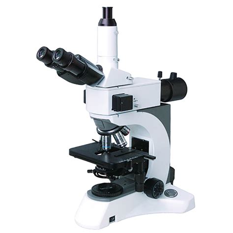 Wholesale Bs 2080f Led Trinocular Led Fluorescent Biological Microscope Manufacturer And