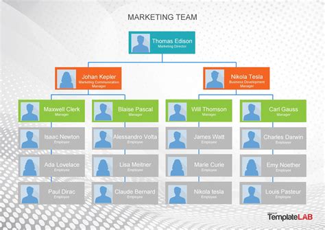 Open Office Organizational Chart Template