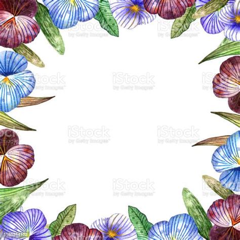 수채화 야생화 흰색 배경에 다양한 다채로운 꽃의 사각형 여름 프레임 0명에 대한 스톡 벡터 아트 및 기타 이미지 0명 구도 꽃 나무 Istock