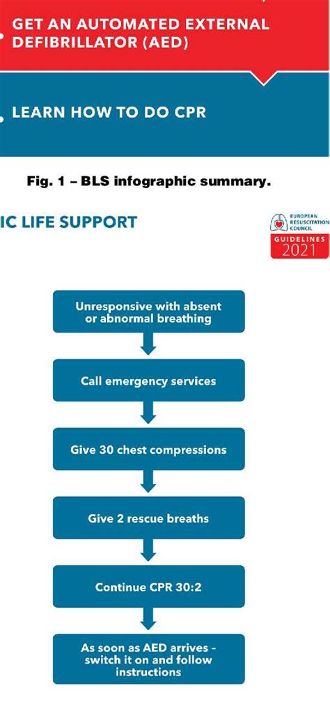 Basic Life Support Exam C Answer Key Guide