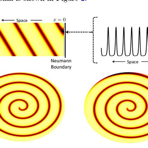 Rössler Model A Image Of Boundary Sink Neumann Boundary Conditions