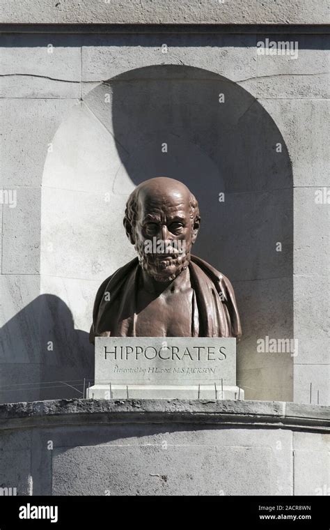 Bust Of Hippocrates C460 370 Bc Ancient Greek Physician And