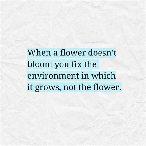 How Nurturing The Right Environment Can Boost Growth Ajay Agarwal Posted On The Topic Linkedin