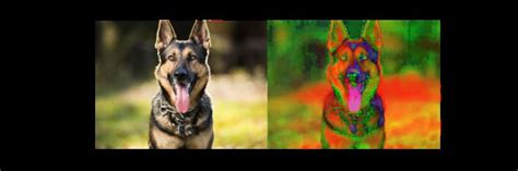 Opencv提取图像特征 张生荣