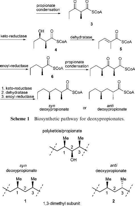 Figure 1 From Iterative Strategies For The Synthesis Of Deoxypropionates Semantic Scholar
