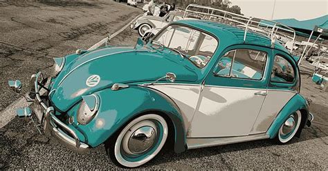 Cal Look Bug Imgur