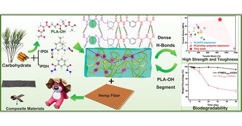 Hydrogen Bond Network Driven Biodegradable Pla Elastomer With High Strength And Toughness Acs