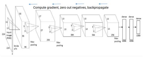 Intuitive Explanation Of Guided Backpropagation Gbp Download