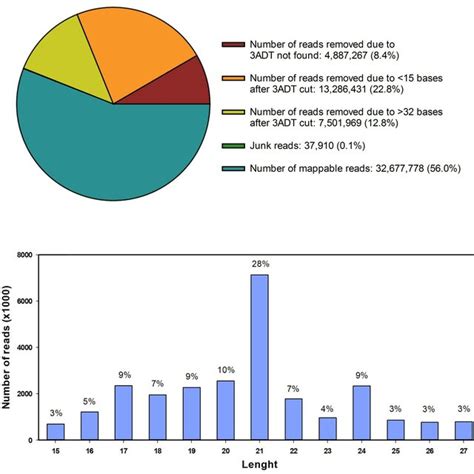 data filtering and length distribution of mappable reads raw reads
