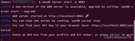 【笔记】wandb本地部署wandb如何在服务器上使用 Csdn博客