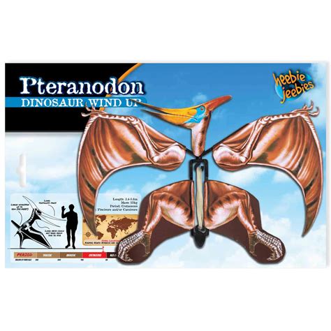 Pteranodon Wind Up Outback Hobbies