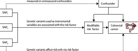 Principles Of Mendelian Randomisation And Assumptions That Need To Be