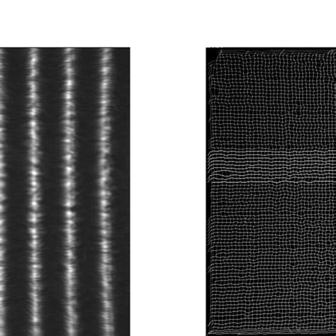 Spherical Lens A Y Ronchigram B Superposition Of All Ronchigrams Download Scientific Diagram