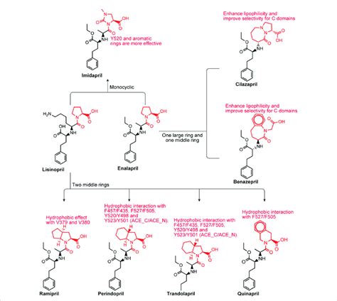 Chemical Structures Of Dicarboxylate Containing Agents The Differences