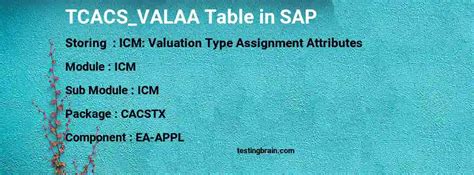 tcacs valaa sap table for icm valuation type assignment attributes