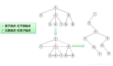 30分钟看完数据结构和算法原理(包括二叉树,图,各种排序算法)算法与数据结构试讲 Csdn博客 30分钟看完数据结构和算法原理(包括二叉树,图,各种排序算法)算法与数据结构试讲 Csdn博客