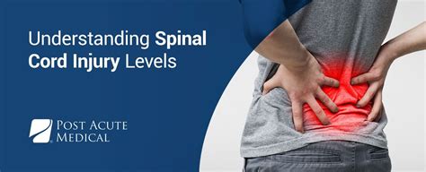 Understanding Spinal Cord Injury Levels PAM
