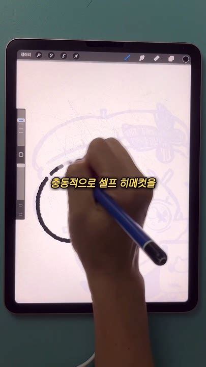 히메컷 캐릭터 드로잉 🦋 셀프 히메컷 어때요 댓글의견 주세요 💙 브러쉬 무료나눔 Youtube