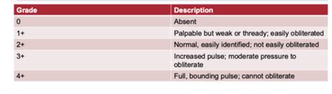 Lecture 5 3 CVP Physical Examination Flashcards Quizlet