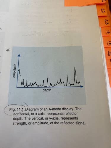 SPI DISPLAY MODES Flashcards Quizlet