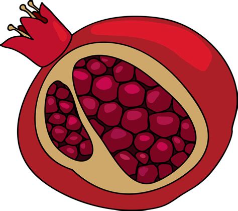 Red Pomegranate Cutting Pomegranate Ripe Pomegranate Fruit Whith Leaf Vector Illustration
