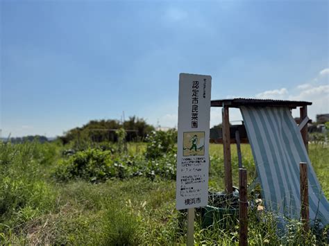 ハタムスビ Myfarm Seed Folks Garden