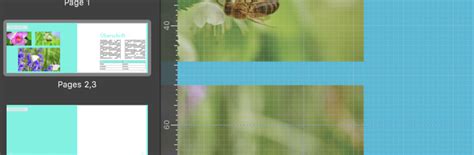 different colors in edit area and page overview [archive] publisher