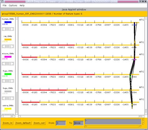 Graphical Multiple Alignment View JAVA Applet Multiple Alignment Download Scientific Diagram
