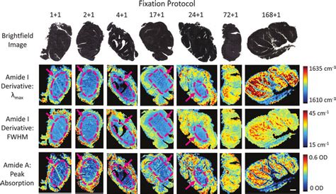 two dimension mapping of fixation signatures for variably fixed
