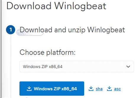 Installer Winlogbeat Et Packetbeat Sur Windows Un Tutoriel Complet