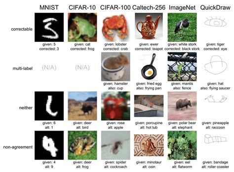 An Example Label Error From Each Category Sec For Image Datasets Download Scientific