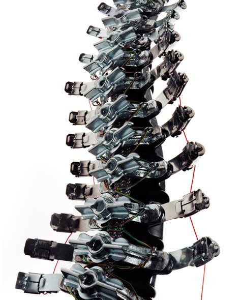 Flexible Spine Made Of Hardware Setgoddess Megan Caponetto