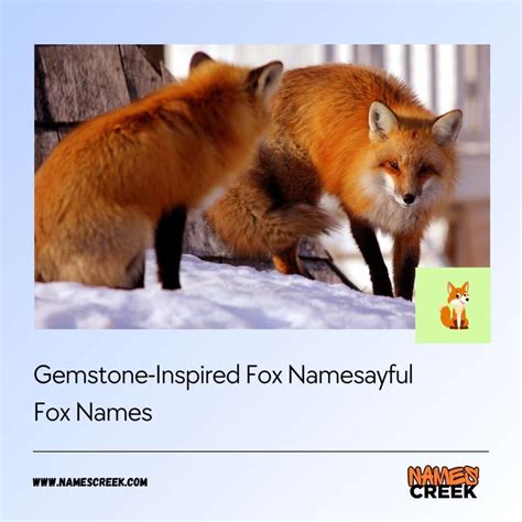Top 500 Fox Names Creative And Fun Names For Your Fox Companion