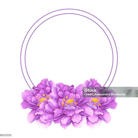 손으로 그린 수채화 보라색 모란 프레임 테두리가 흰색 배경에 분리되어 있다 초대장 엽서 포스터 책 장식 및 기타 인쇄물에 사용할 수 있습니다 0명에 대한 스톡 벡터 아트 및