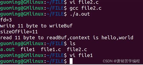 Writereadlseek综合 Csdn博客