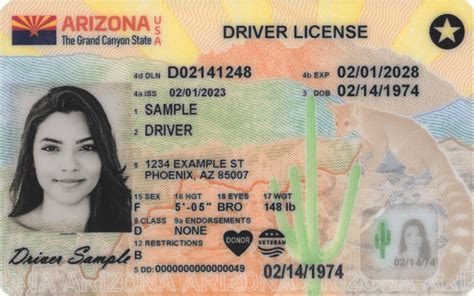 Driver License Application Department Of Transportation