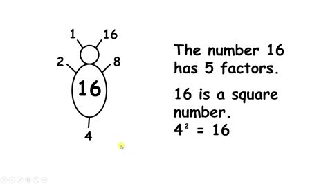 Draw Factor Bugs To Recognise Factors Prime Numbers And Square Numbers