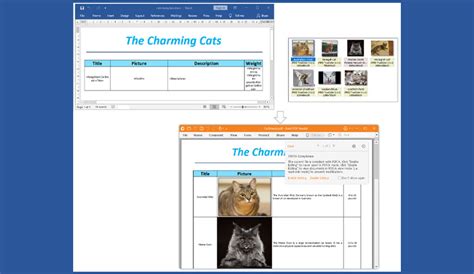 Sautinsoft Document Net Download Latest 2025 Filecr