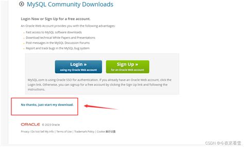win10下载安装mysql8 0版本 csdn博客