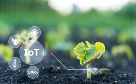 iot in smart farming overview advantages and use cases maguin tech