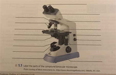 Bio Lab Exam 1 Diagram Quizlet
