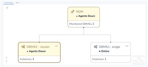 home page neo4j ops manager