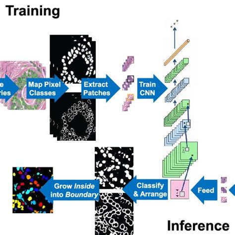 PDF A Multi Organ Nucleus Segmentation Challenge