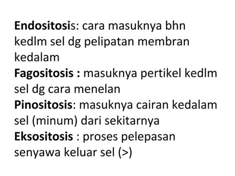 Struktur Dan Fungsi Sel 9 Ppt