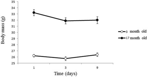 We Report Means With Standard Errors Download Scientific Diagram