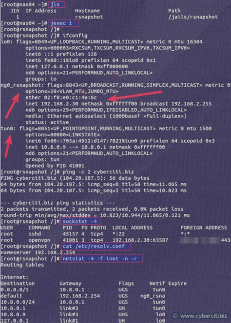 how to configure a freebsd jail with vnet and zfs nixcraft