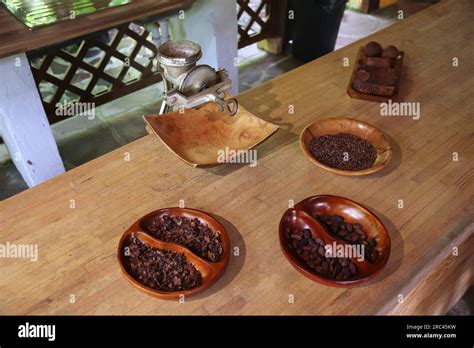 Cocoa Production Process Stages Traditional Manual Cocoa Bean Grinder