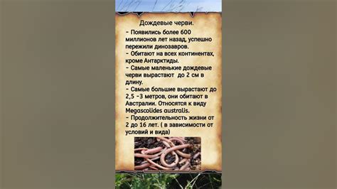 Самые большие черви. Интересные факты - YouTube